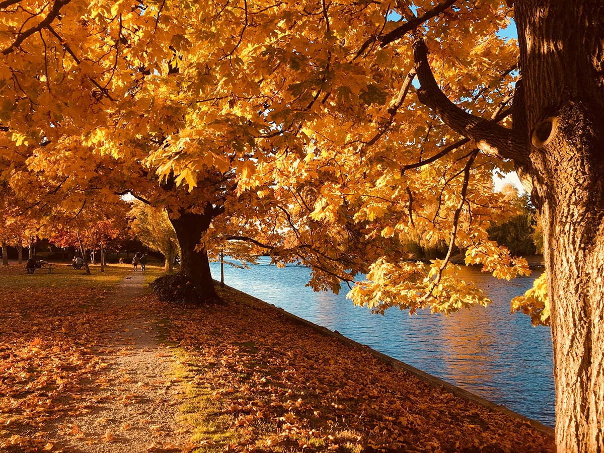 5 Fall HVAC Maintenance Tips 